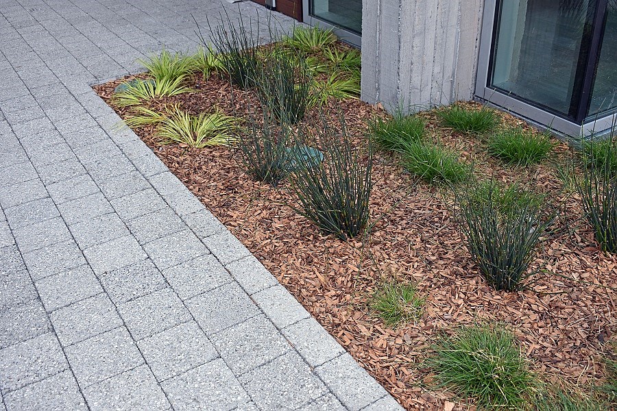 Pervious Pavers, Linearity Pavers, California Architectural Pavers